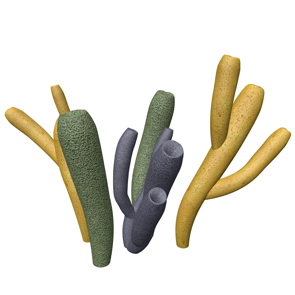 ArtStation - Tube Sponge #01 - High Poly Plant (3D Model) | Game Assets