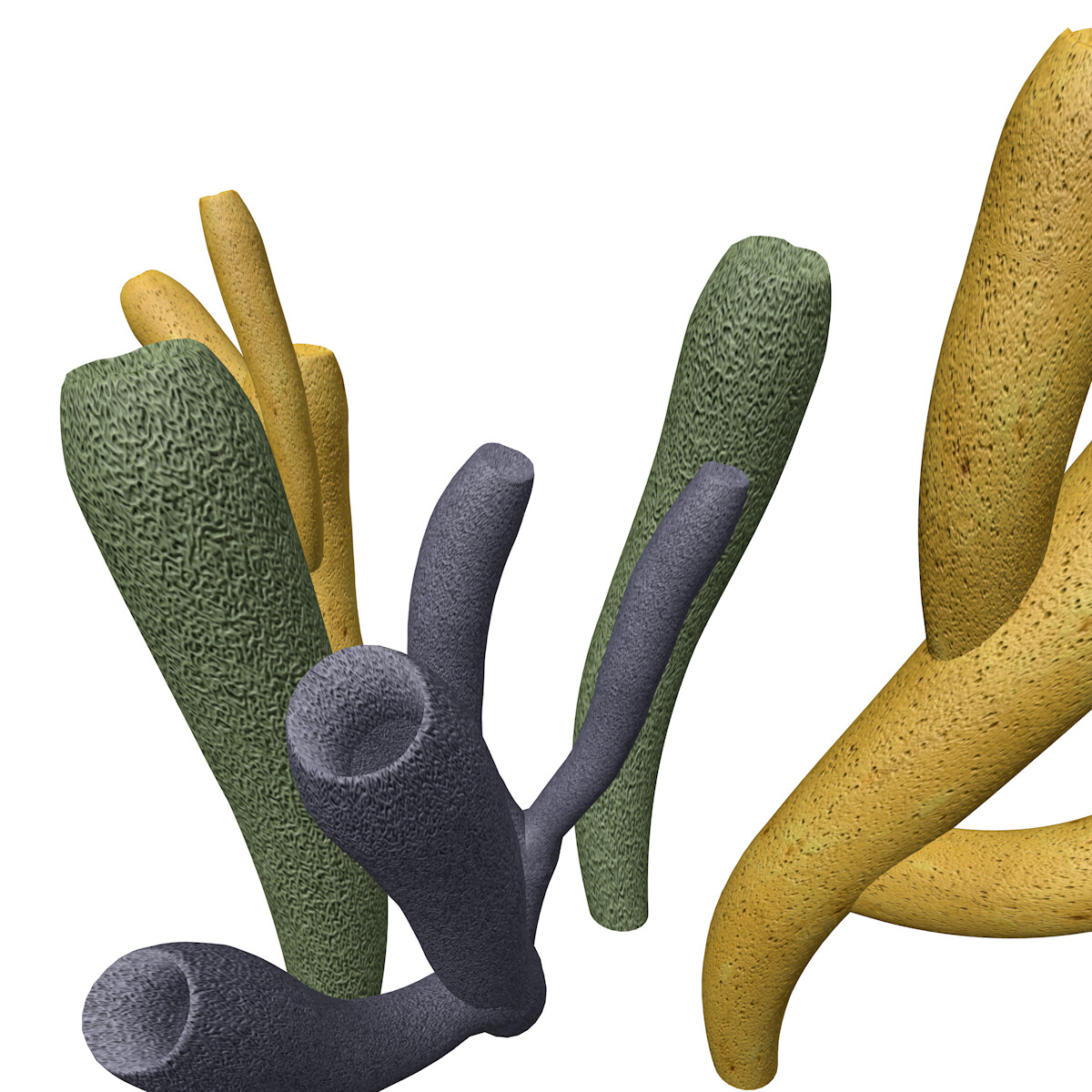 ArtStation - Tube Sponge #01 - High Poly Plant (3D Model) | Game Assets