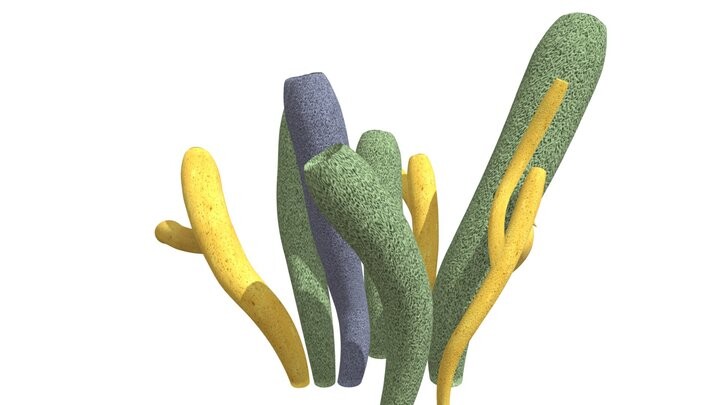 ArtStation - Tube Sponge #02 - High Poly Plant (3D Model) | Game Assets