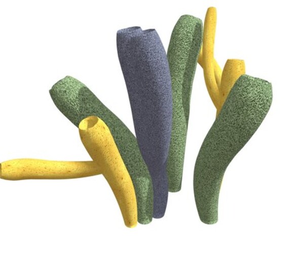 ArtStation - Tube Sponge #05 - High Poly Plant (3D Model) | Game Assets