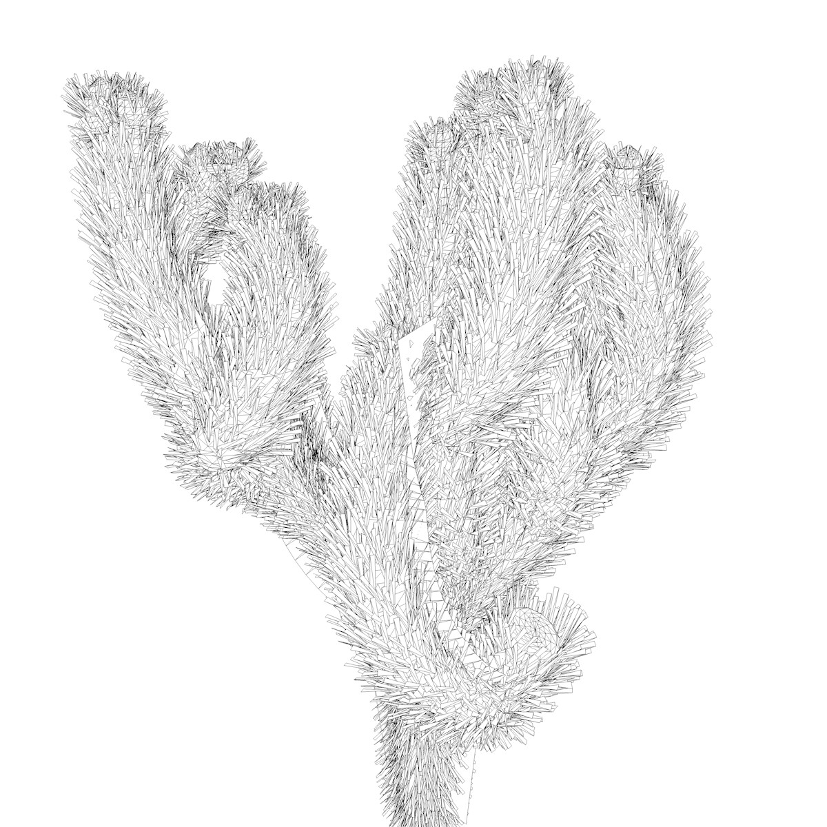 ArtStation - Cholla Cactus #04 - High Poly Plant (3D Model) | Game Assets