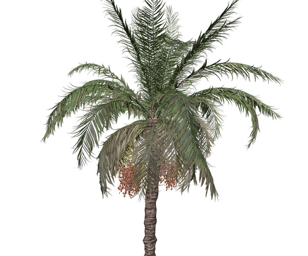 ArtStation - Date Palm #03 - High Poly Tree (3D Model) | Game Assets