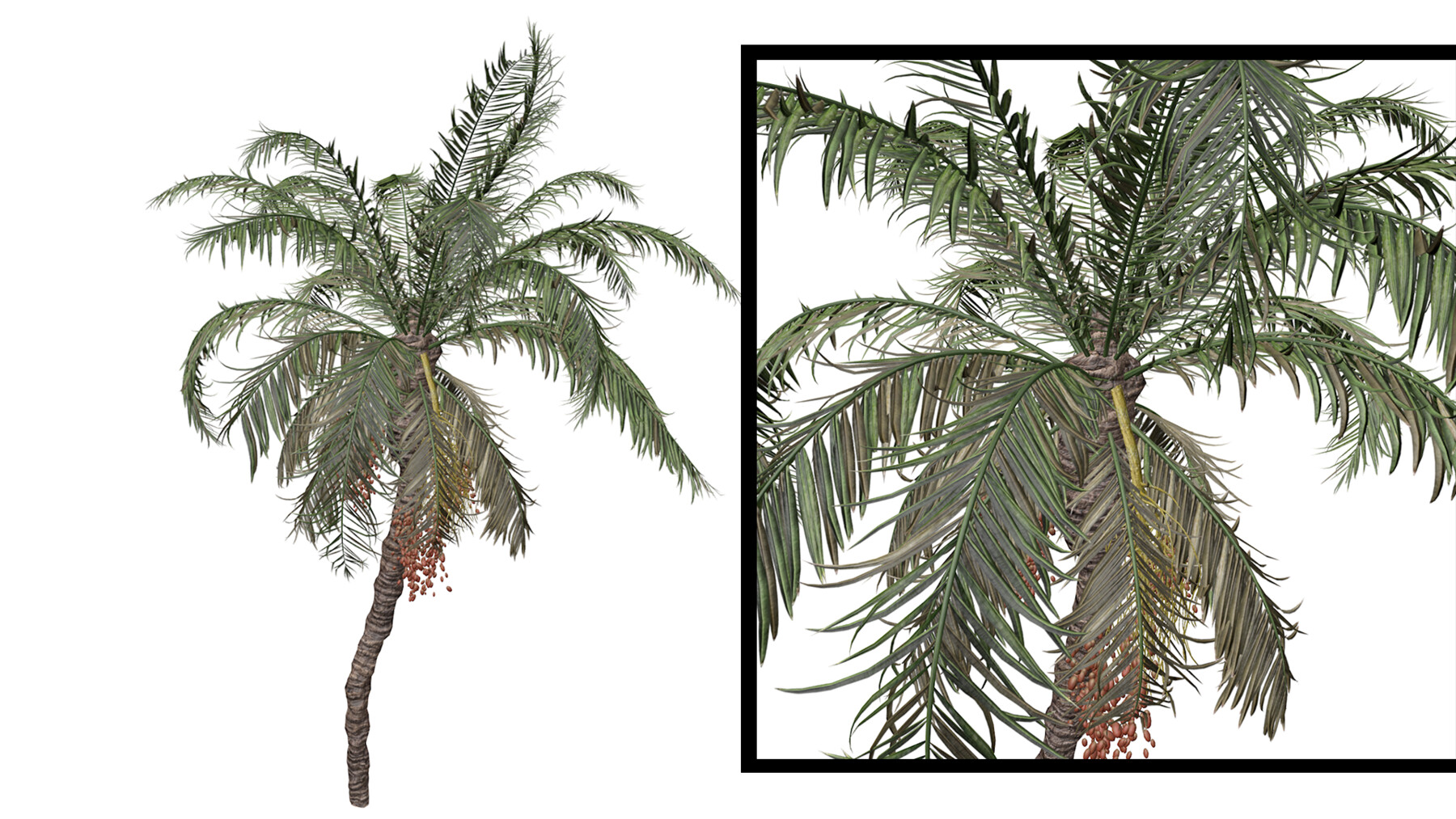 ArtStation - Date Palm #04 - High Poly Tree (3D Model) | Game Assets