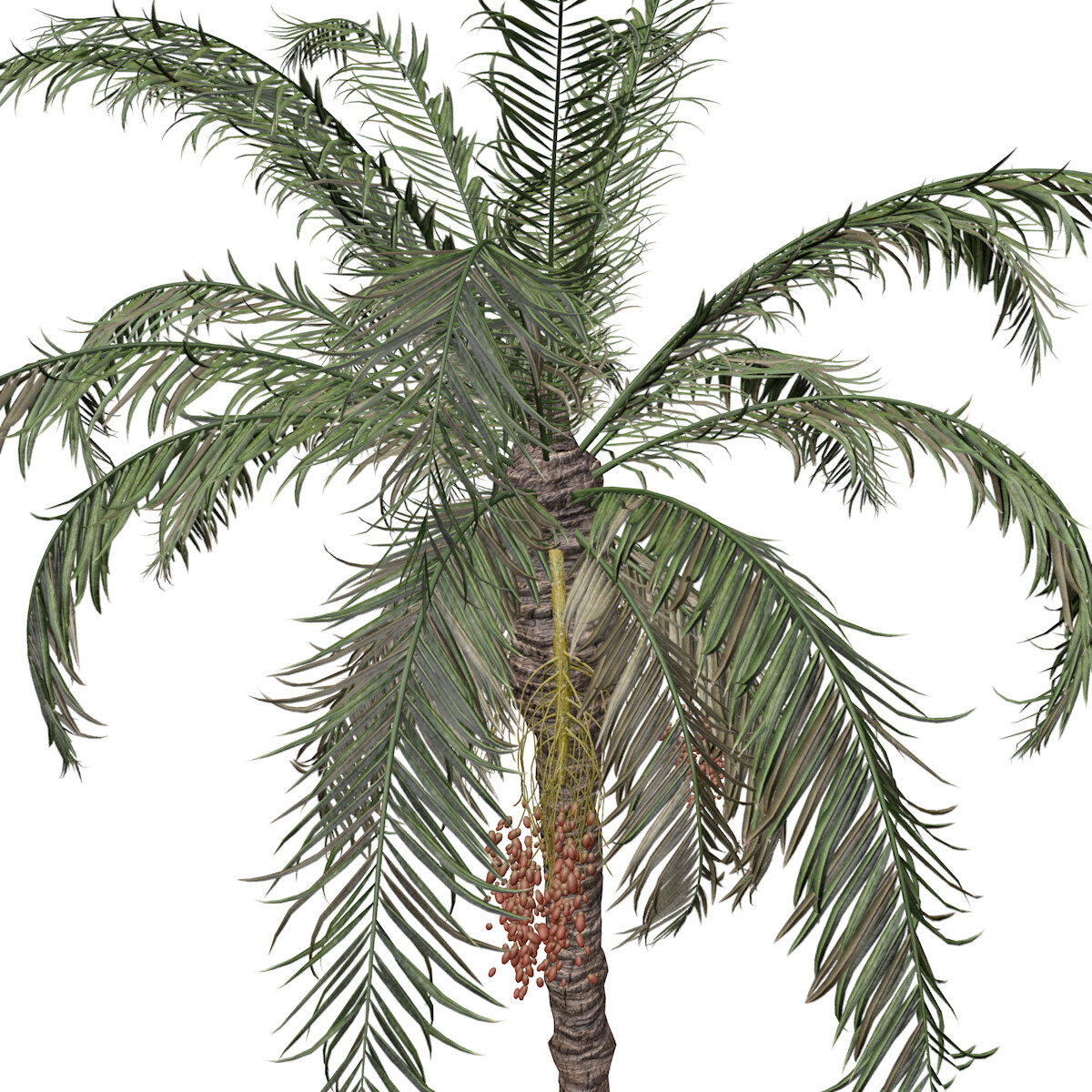 ArtStation - Date Palm #09 - High Poly Tree (3D Model) | Game Assets