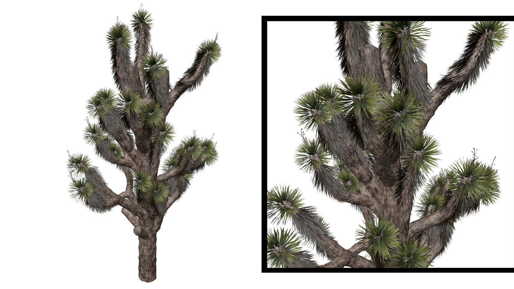 ArtStation - Joshua Tree #05 - High Poly Tree (3D Model) | Game Assets