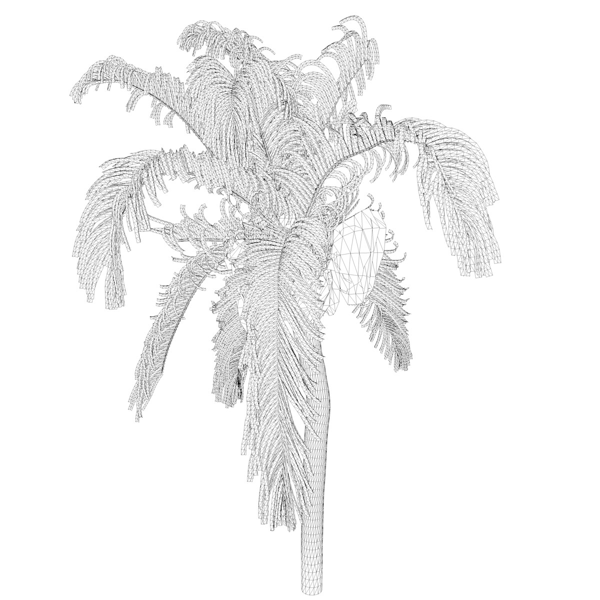 ArtStation - Queen Palm #06 - High Poly Tree (3D Model) | Game Assets