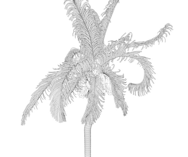 ArtStation - Queen Palm #09 - High Poly Tree (3D Model) | Game Assets