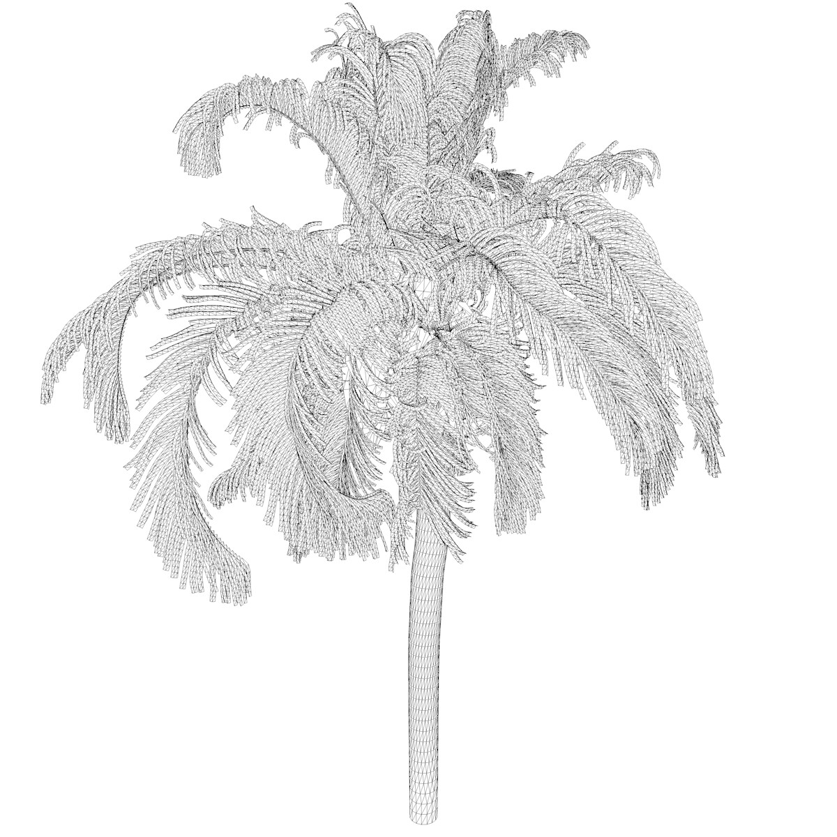 ArtStation - Queen Palm #10 - High Poly Tree (3D Model) | Game Assets