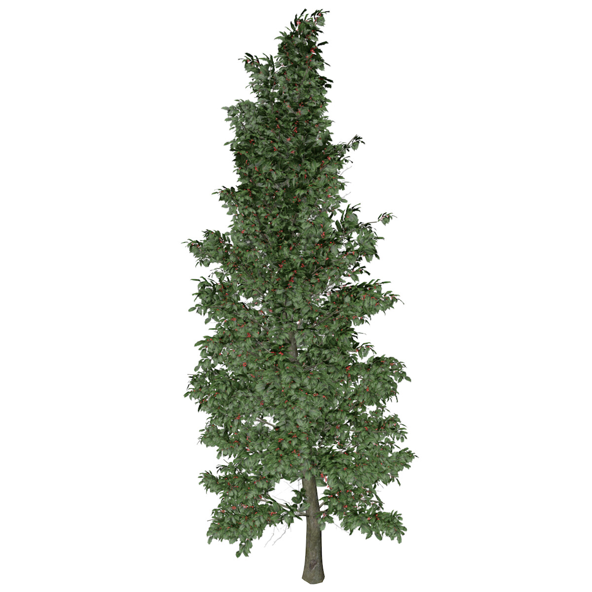 ArtStation - American Holly #08 - High Poly Tree (3D Model) | Game Assets