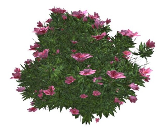 ArtStation - Azalea Shrub (pink flowers) #04 - High Poly Shrub (3D ...