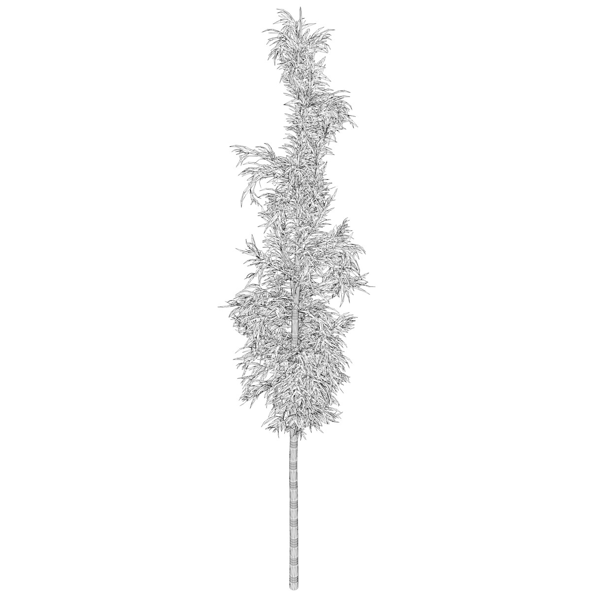 ArtStation - Bamboo Plant #03 - High Poly Plant (3D Model) | Game Assets