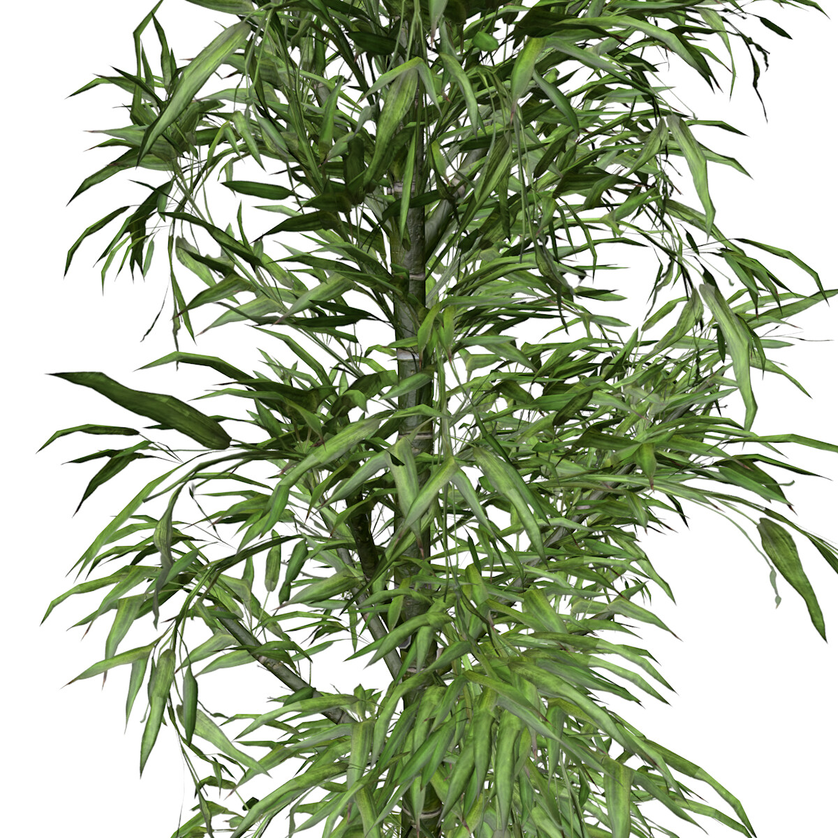 ArtStation - Bamboo Plant #08 - High Poly Plant (3D Model) | Game Assets