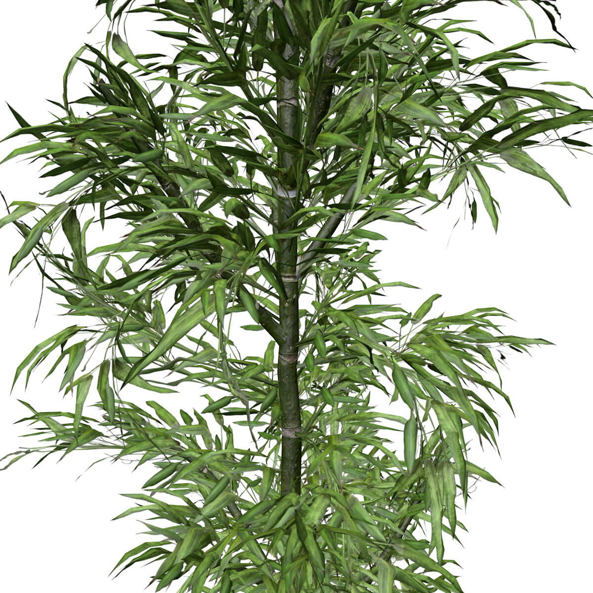 ArtStation - Bamboo Plant #09 - High Poly Plant (3D Model) | Game Assets
