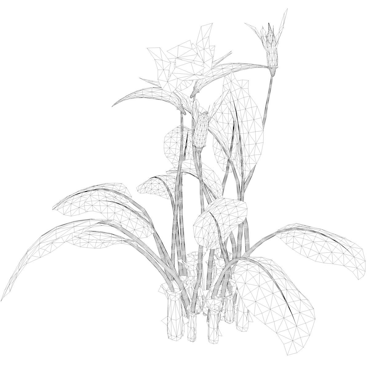 ArtStation - Bird of Paradise Flower #06 - High Poly Flower (3D Model ...