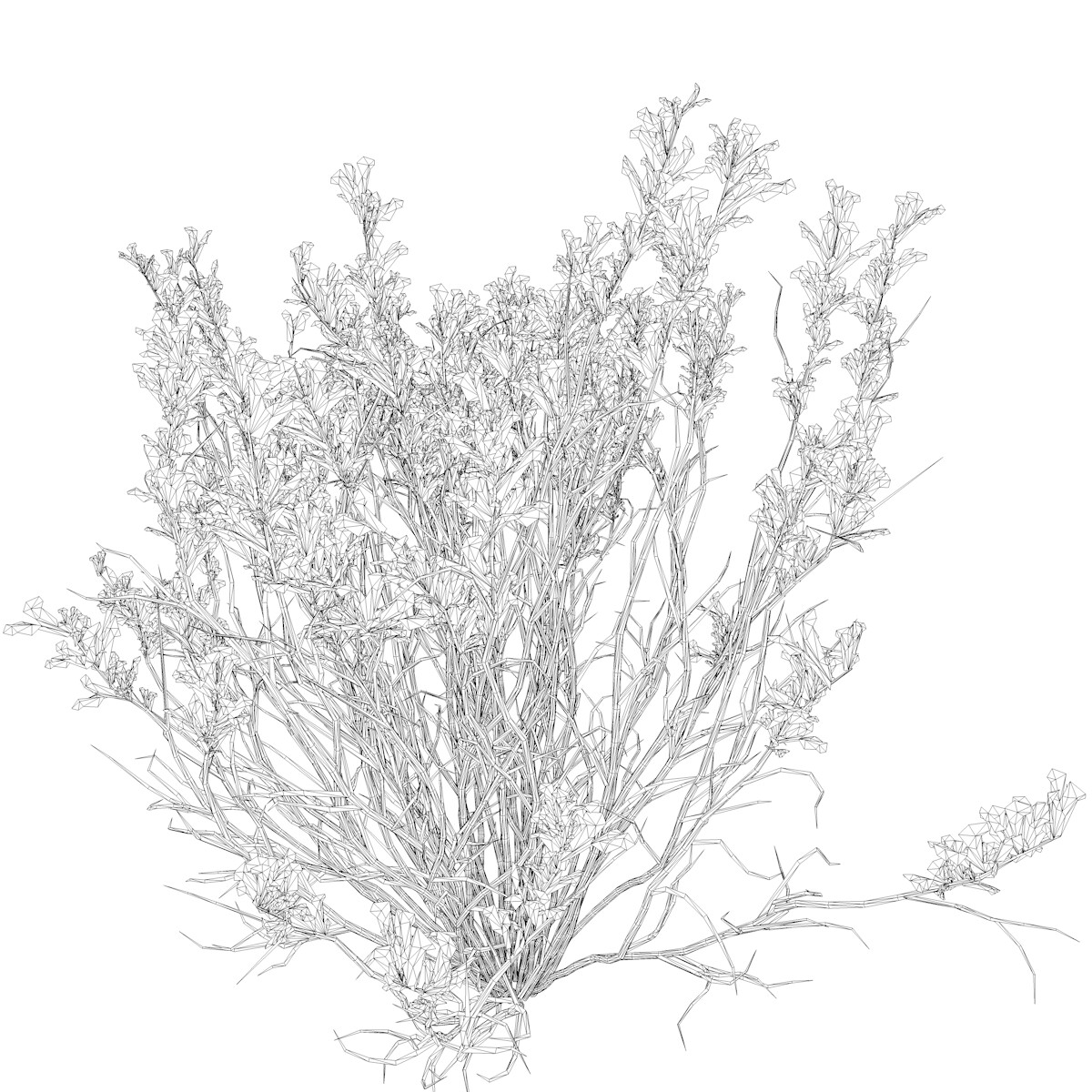 ArtStation - Broom Snakeweed (Flowers) #04 - High Poly Plant (3D Model ...