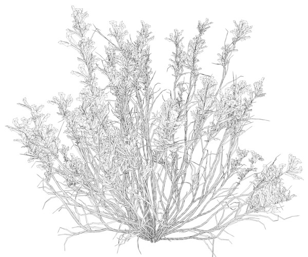 ArtStation - Broom Snakeweed (Flowers) #06 - High Poly Plant (3D Model ...