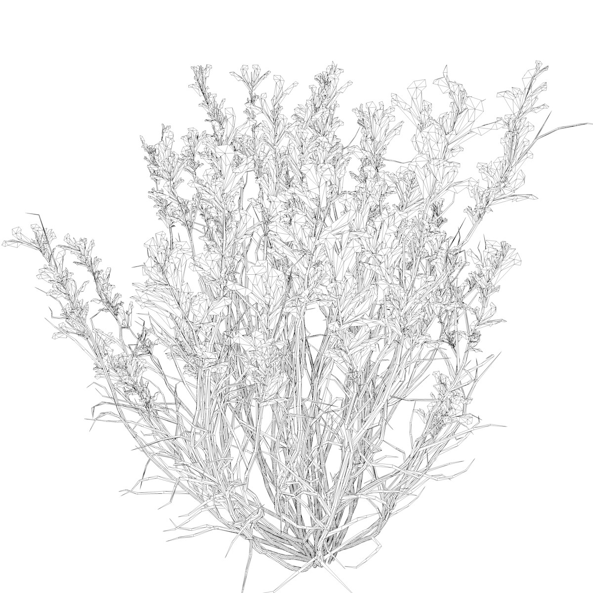 ArtStation - Broom Snakeweed (Flowers) #07 - High Poly Plant (3D Model ...