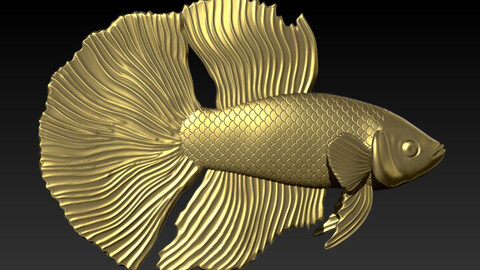 ArtStation - Betta Fish - Ready for 3D print | Resources