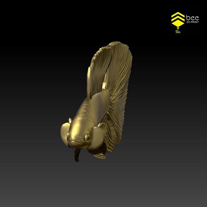ArtStation - Betta Fish - Ready for 3D print | Resources