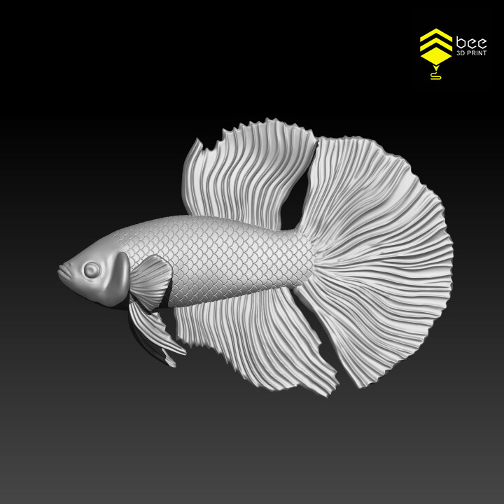 ArtStation - Betta Fish - Ready for 3D print | Resources