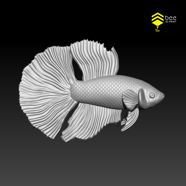 ArtStation - Betta Fish - Ready for 3D print | Resources