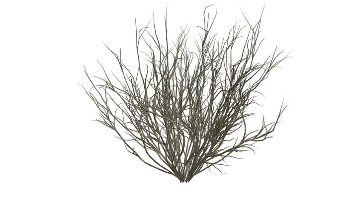 ArtStation - Broom Snakeweed #01 - High Poly Plant (3D Model) | Game Assets