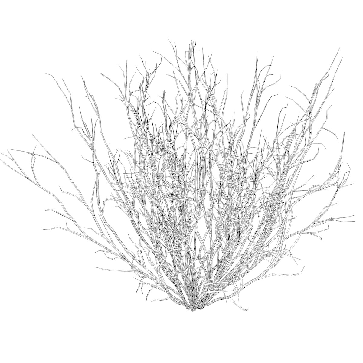 ArtStation - Broom Snakeweed #06 - High Poly Plant (3D Model) | Game Assets