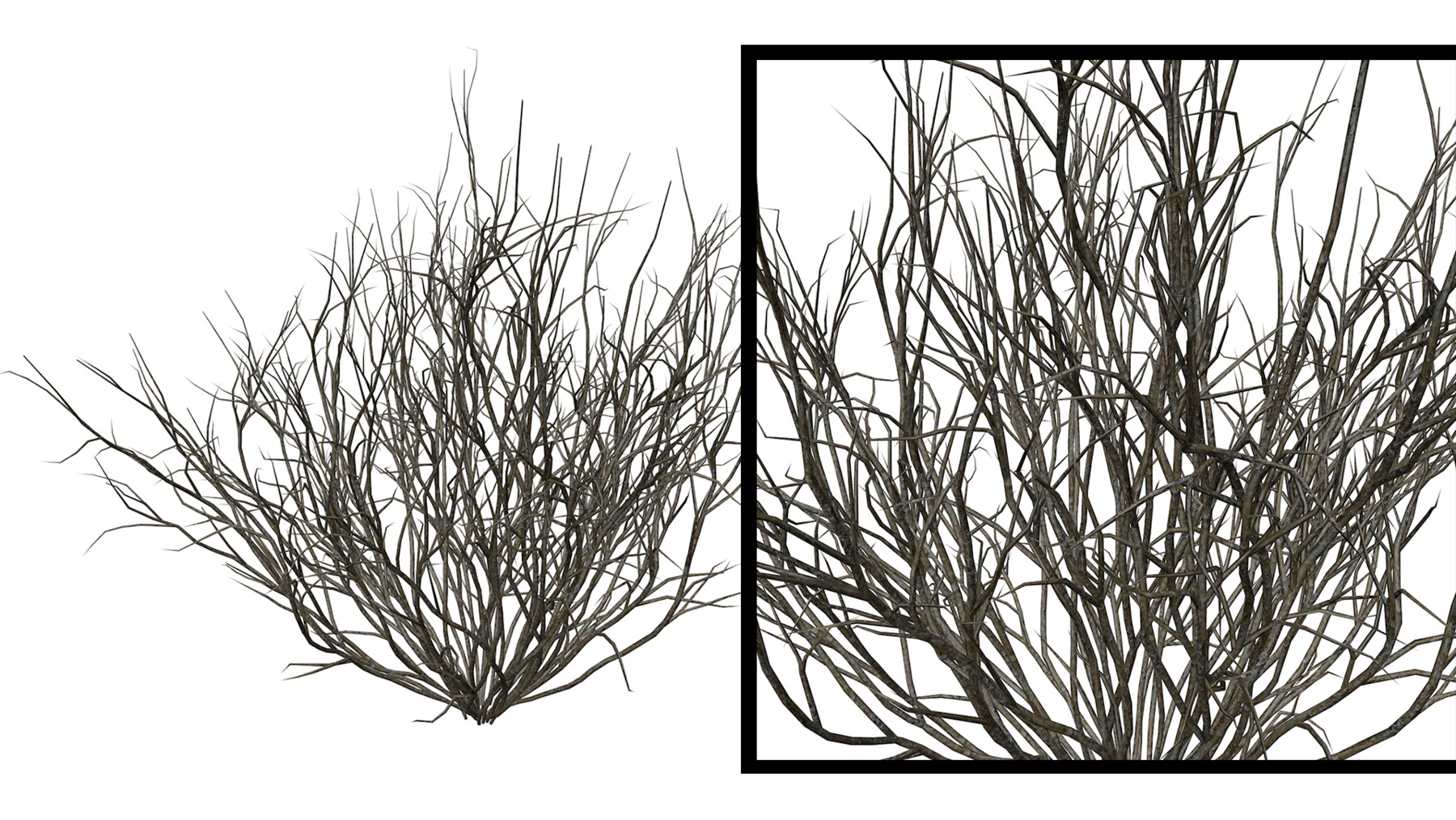 ArtStation - Broom Snakeweed #07 - High Poly Plant (3D Model) | Game Assets