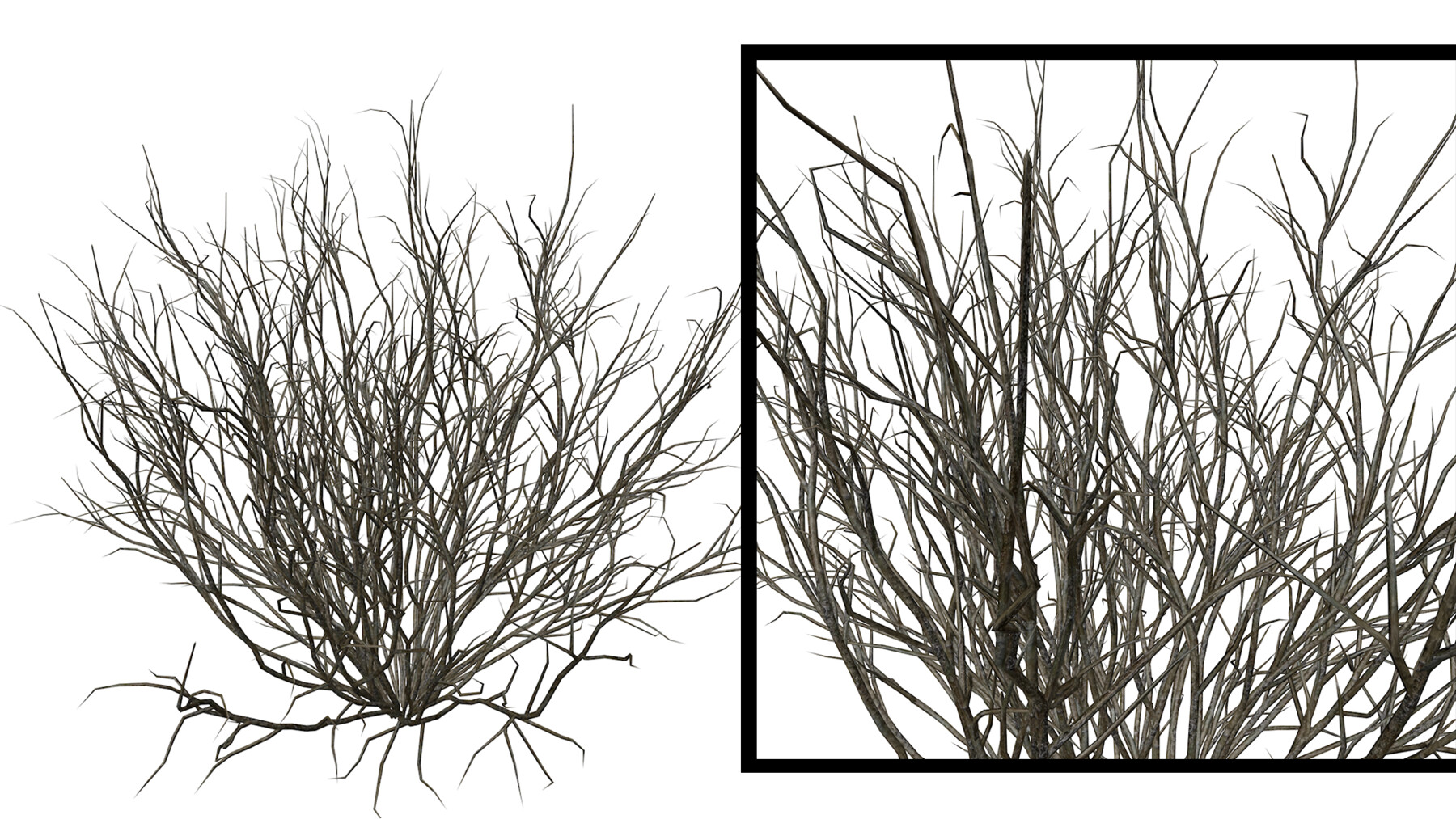 ArtStation - Broom Snakeweed #09 - High Poly Plant (3D Model) | Game Assets