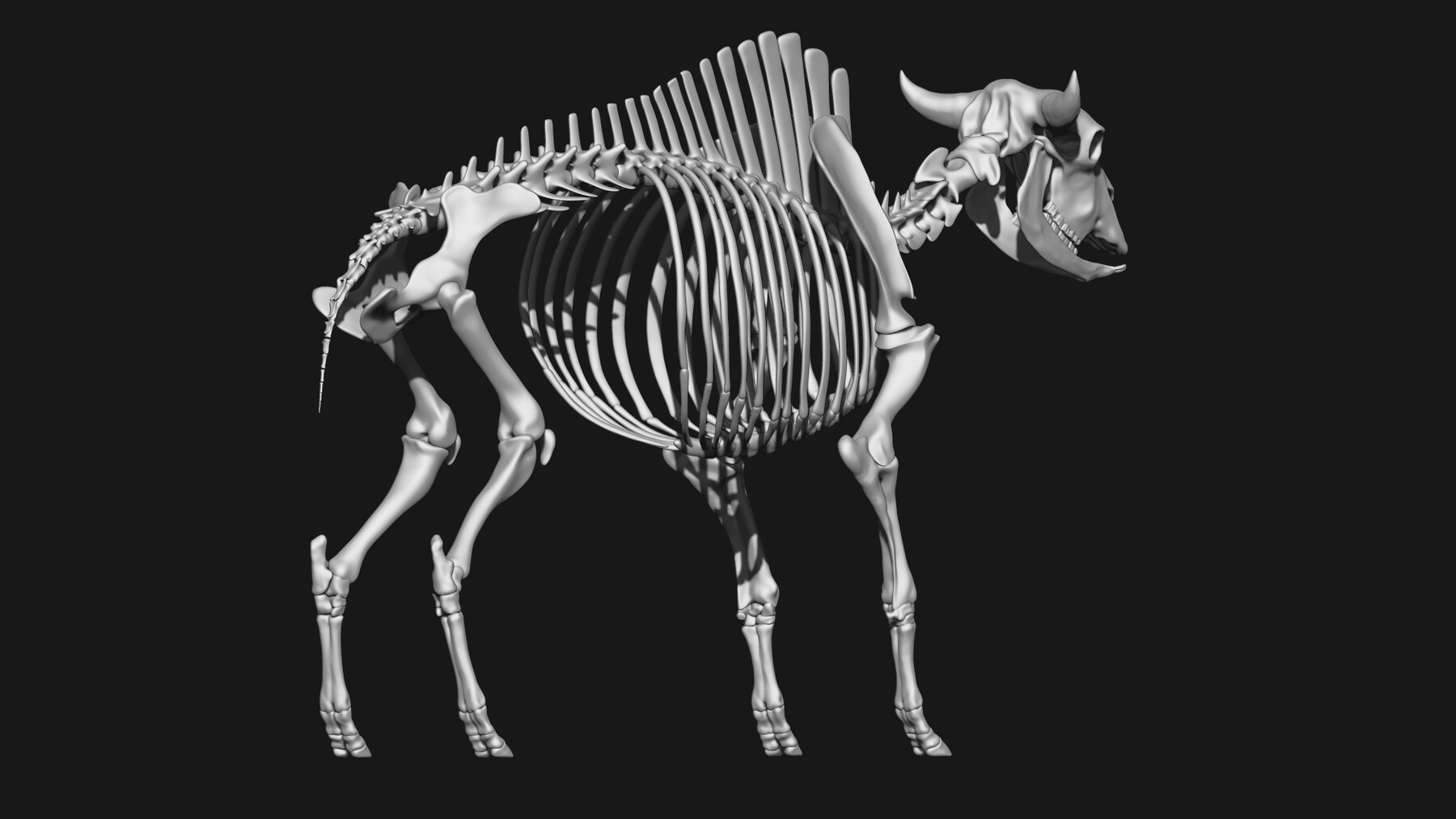 ArtStation - Bison skeleton | Resources