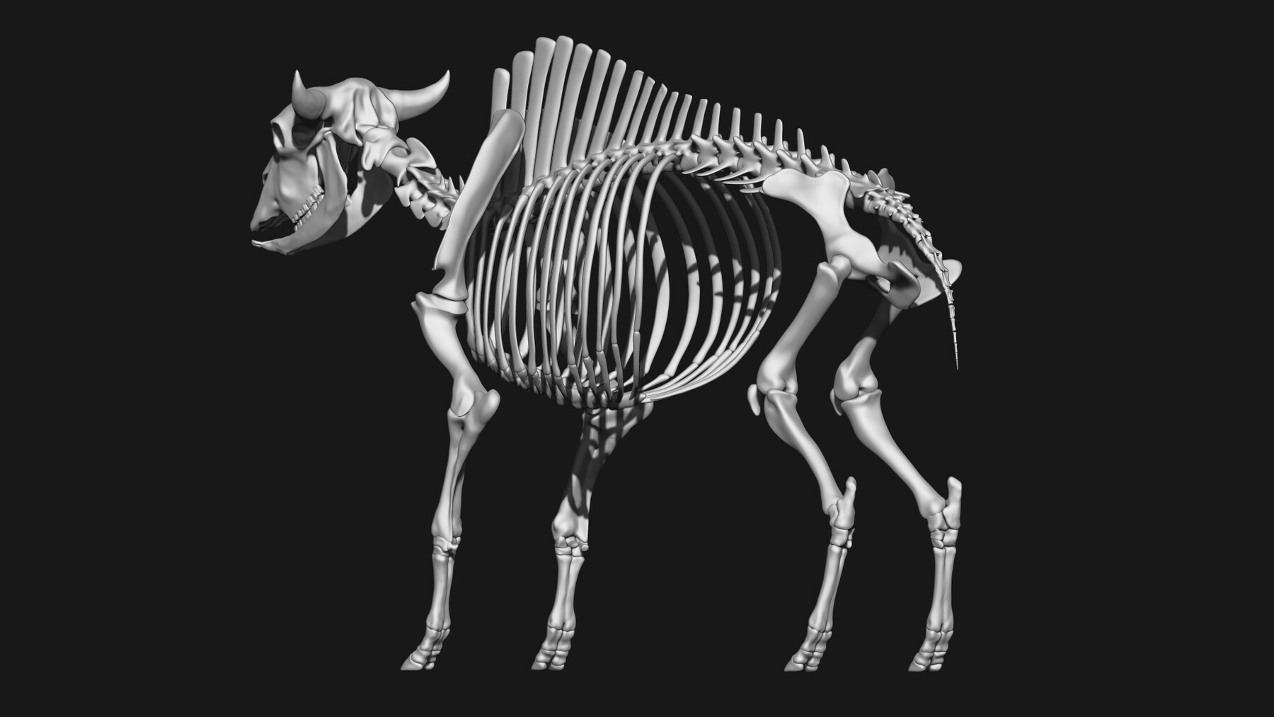 ArtStation - Bison skeleton | Resources