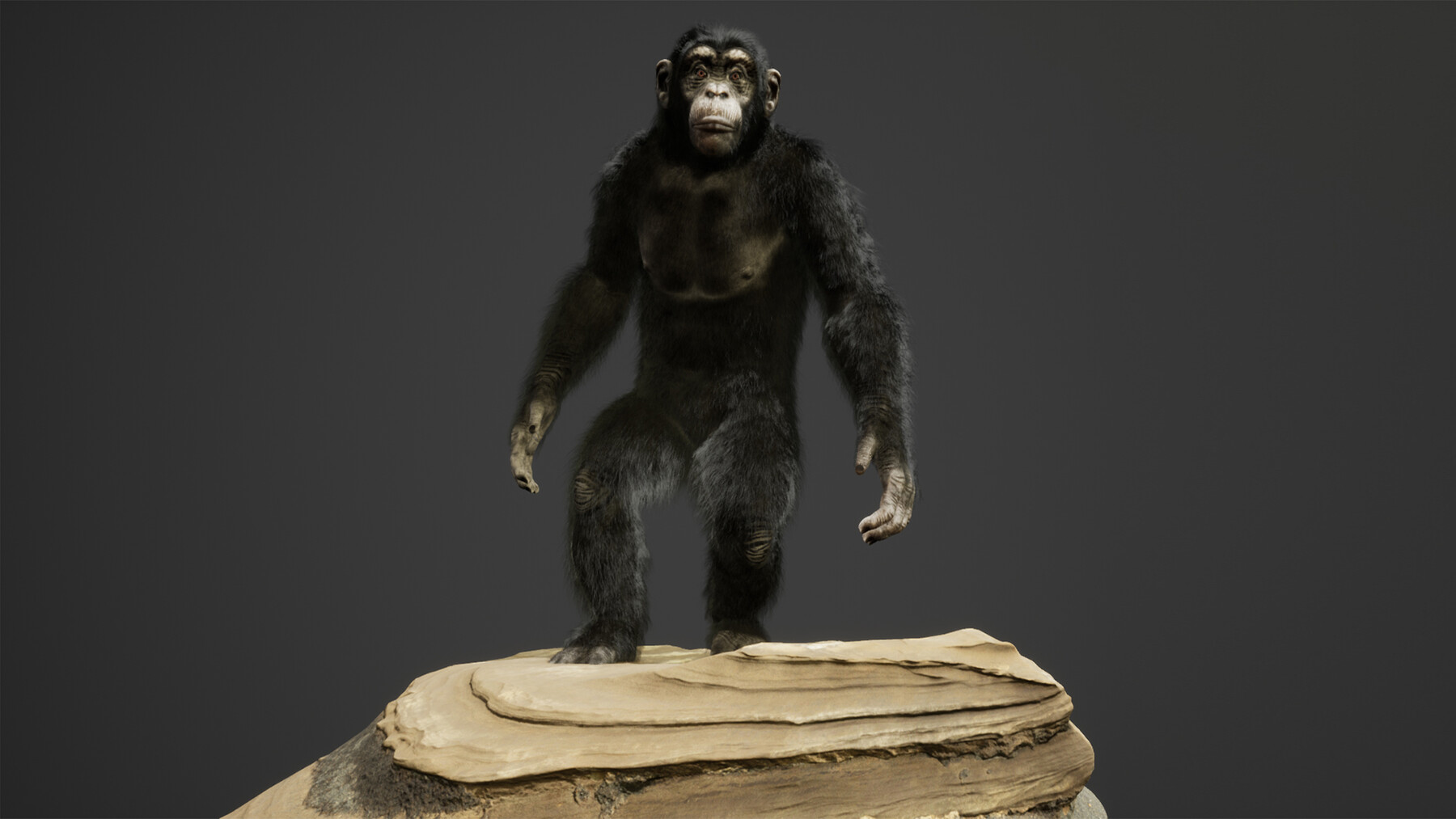 ArtStation - The Chimpanzee - Unreal Engine | Game Assets