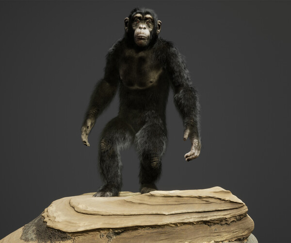 ArtStation - The Chimpanzee - Unreal Engine | Game Assets
