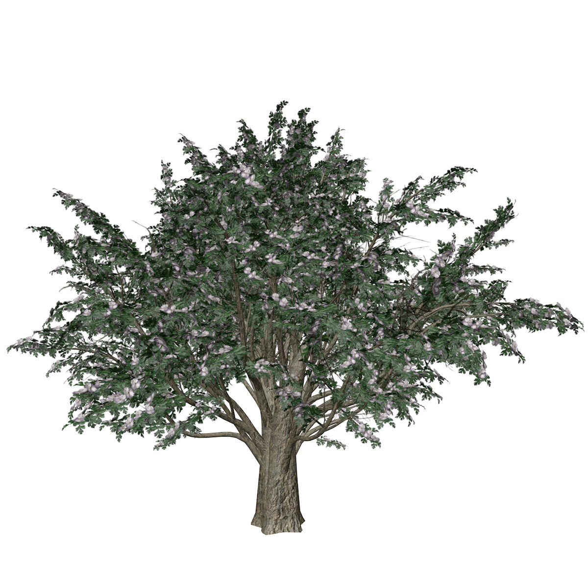 ArtStation - Common Hawthorn #08 - High Poly Tree (3D Model) | Game Assets