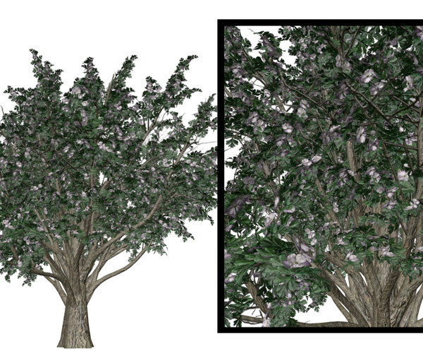ArtStation - Common Hawthorn #09 - High Poly Tree (3D Model) | Game Assets