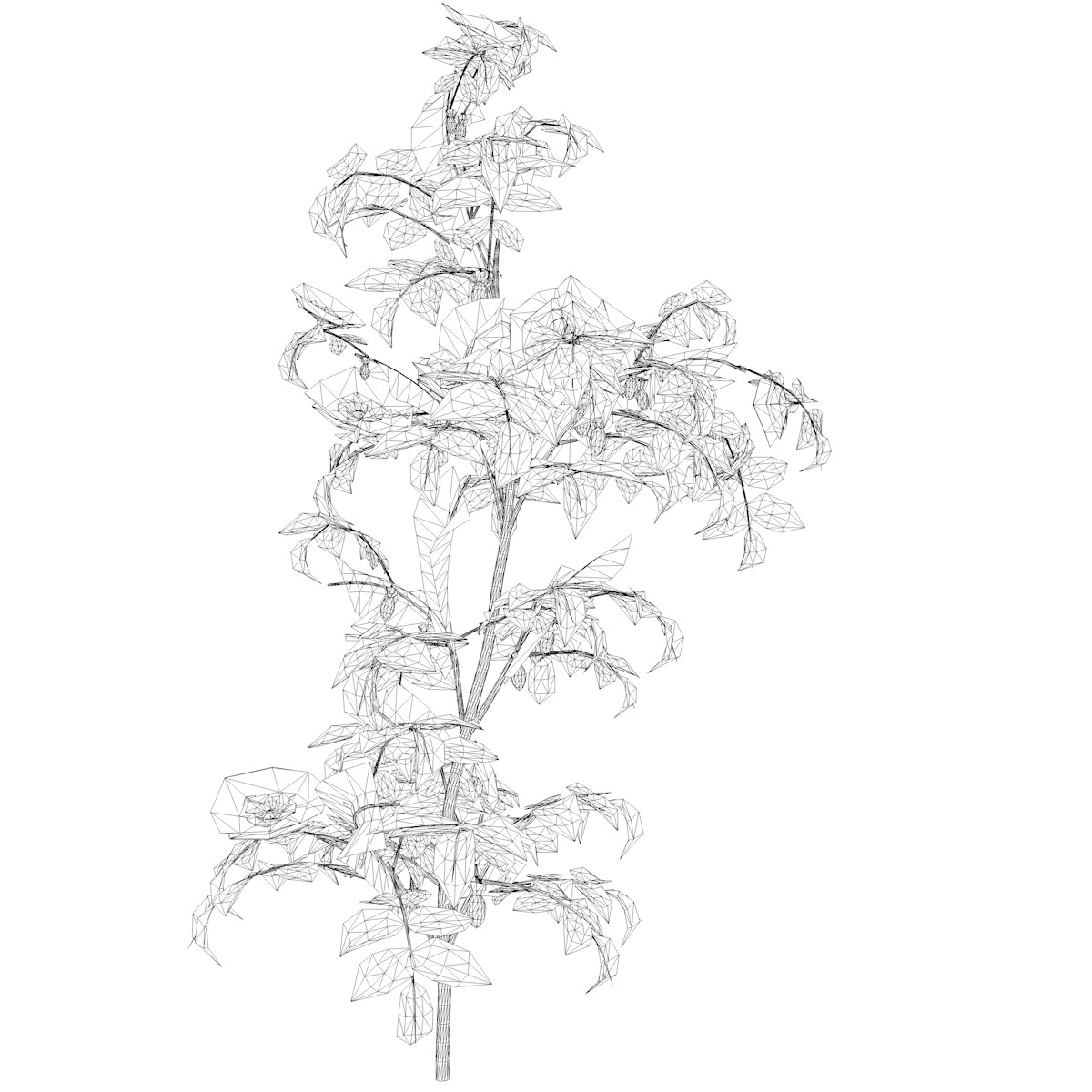 ArtStation - Dog Rose Flower #03 - High Poly Plant (3D Model) | Game Assets