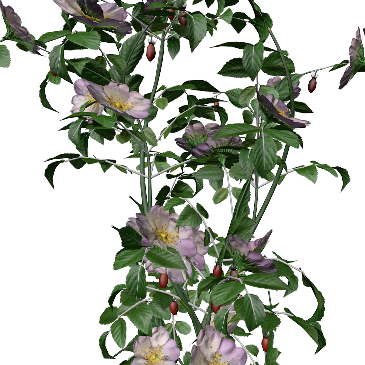 ArtStation - Dog Rose Flower #06 - High Poly Plant (3D Model) | Game Assets