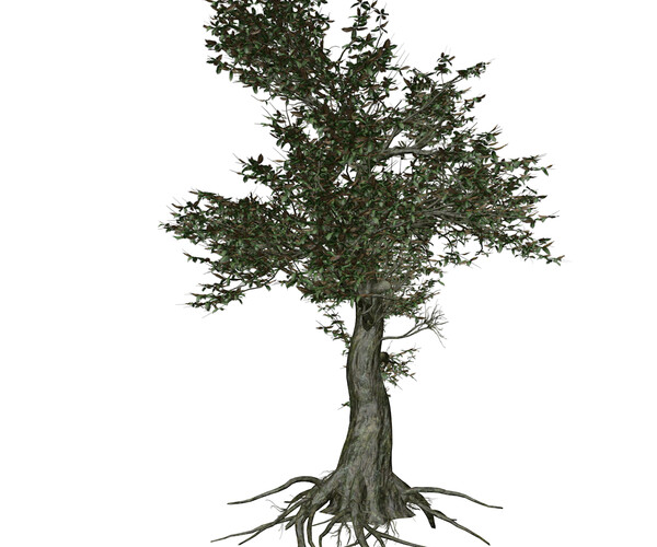 ArtStation - Kingsville Boxwood #02 - High Poly Tree (3D Model) | Game ...