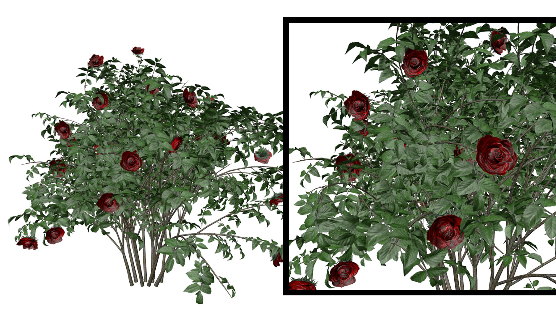 ArtStation - Red Rose Bush #01 - High Poly Plant (3D Model) | Game Assets