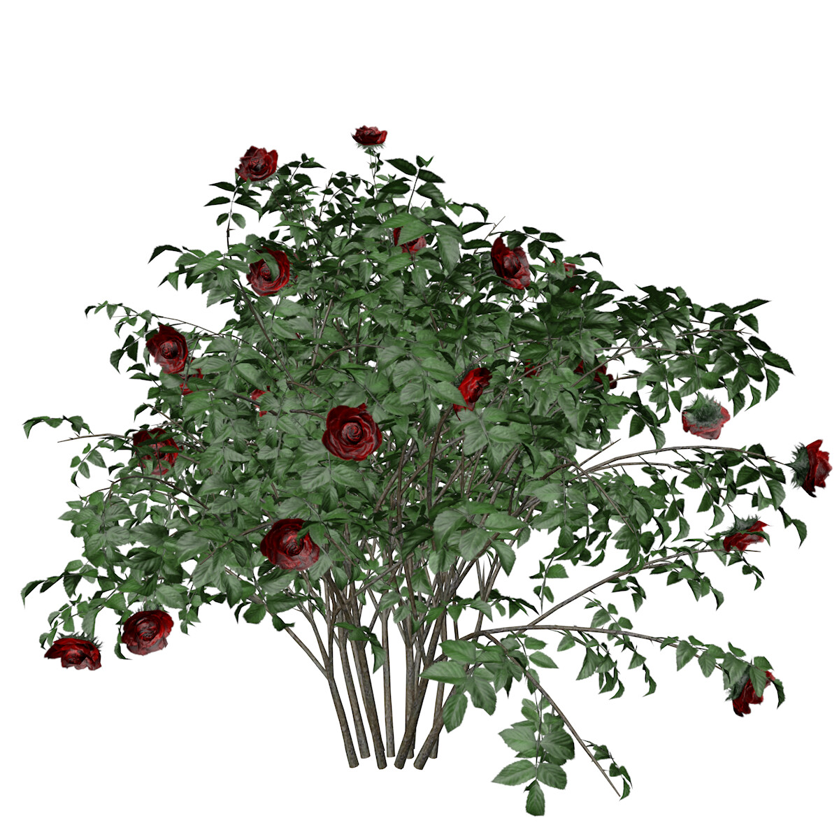 ArtStation - Red Rose Bush #01 - High Poly Plant (3D Model) | Game Assets