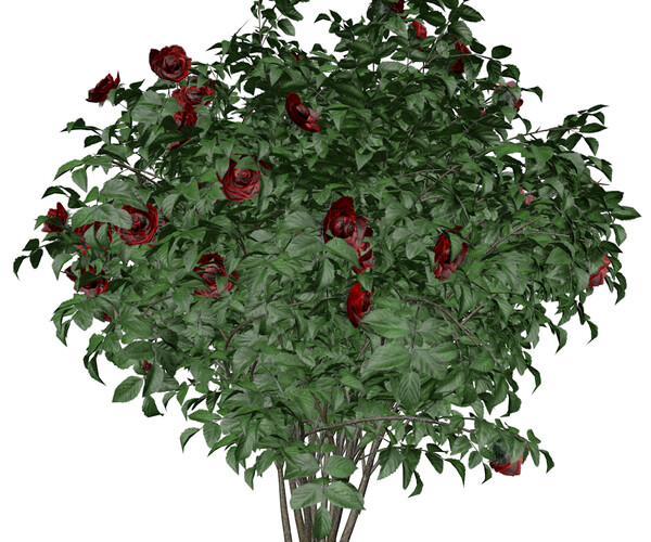 ArtStation - Red Rose Bush #02 - High Poly Plant (3D Model) | Game Assets
