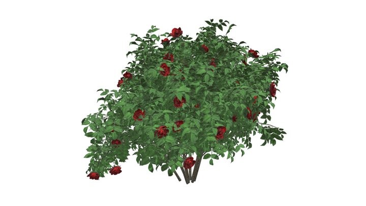 ArtStation - Red Rose Bush #03 - High Poly Plant (3D Model) | Game Assets