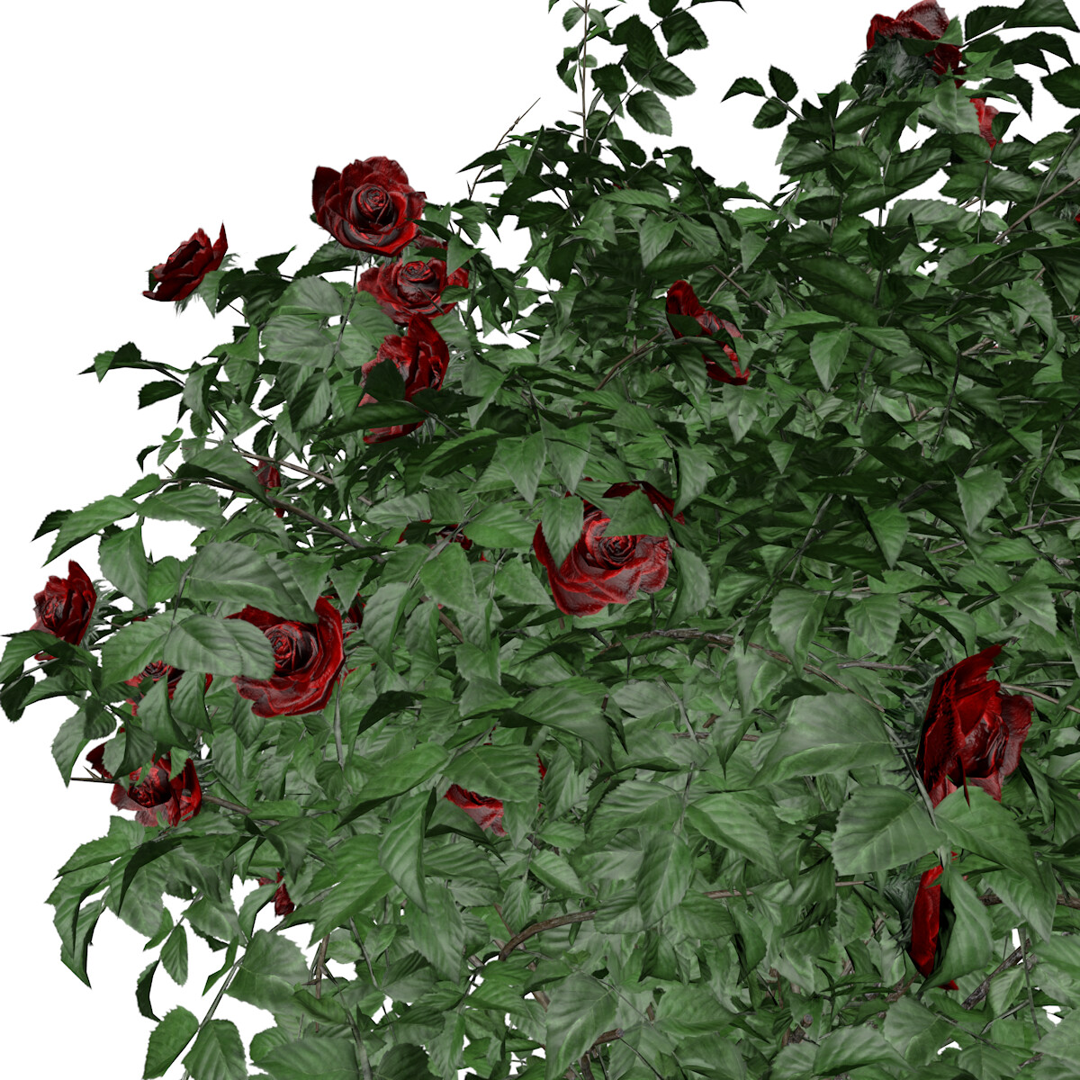 ArtStation - Red Rose Bush #02 - High Poly Plant (3D Model) | Game Assets