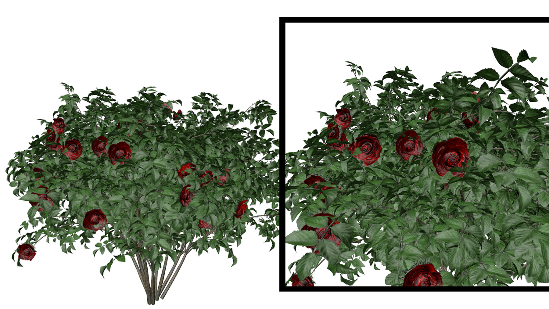 ArtStation - Red Rose Bush #04 - High Poly Plant (3D Model) | Game Assets