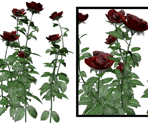 ArtStation - Red Rose Patch #02 - High Poly Plant (3D Model) | Game Assets