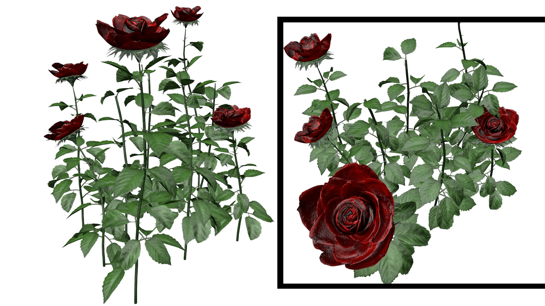 ArtStation - Red Rose Patch #03 - High Poly Plant (3D Model) | Game Assets
