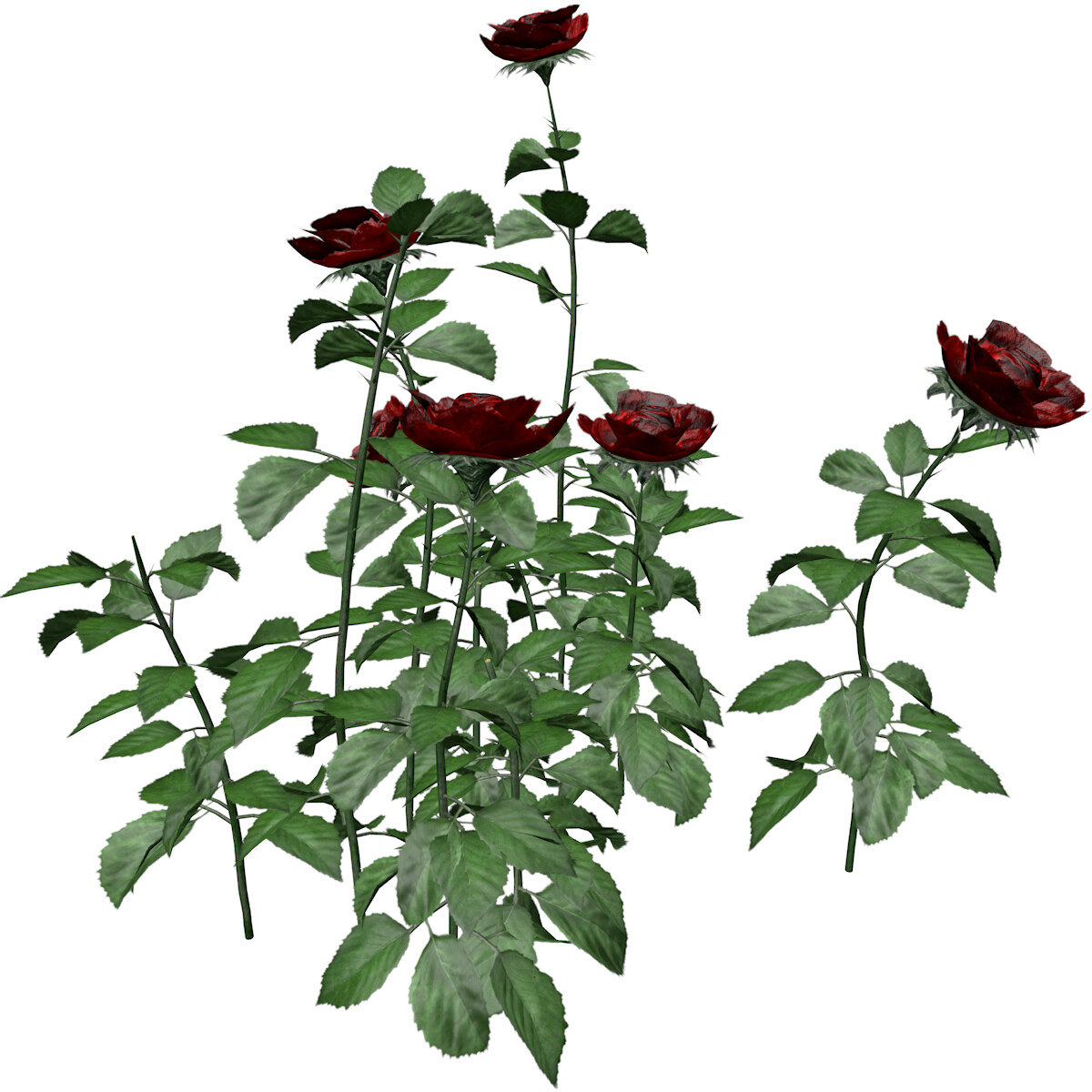 ArtStation - Red Rose Patch #05 - High Poly Plant (3D Model) | Game Assets