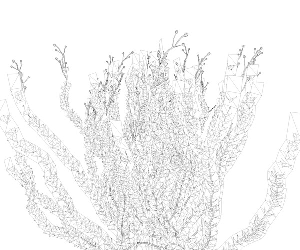 ArtStation - Sagebrush Bush #01 - High Poly Bush (3D Model) | Game Assets