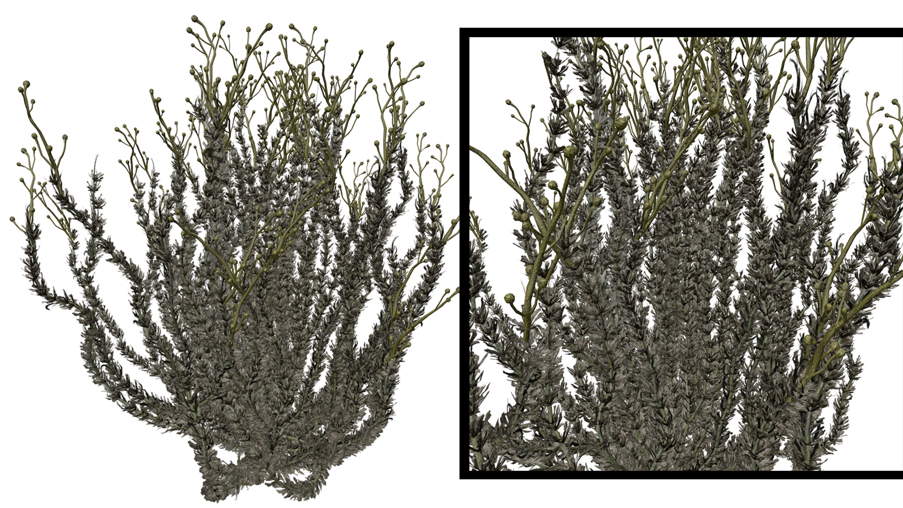ArtStation - Sagebrush Bush #05 - High Poly Bush (3D Model) | Game Assets
