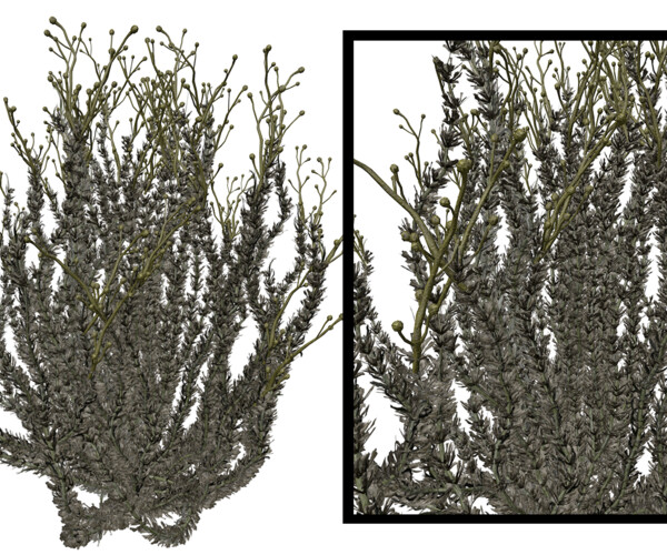 ArtStation - Sagebrush Bush #05 - High Poly Bush (3D Model) | Game Assets